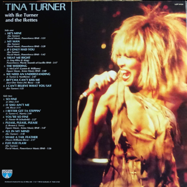 Tina Turner - Tina Turner (LP, Comp) - Vinyl Schallplatten Shop - buy24hours.de